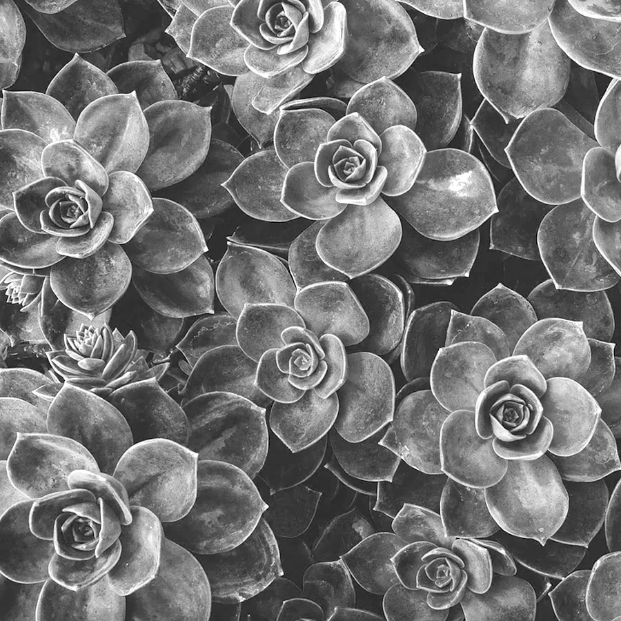 Training and Support - ototech